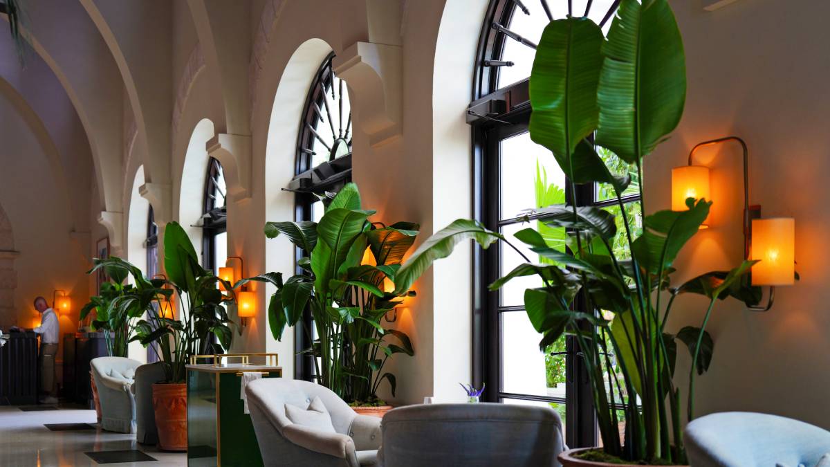 Syva Brings Visual Style & Sound to Four Seasons' The Surf Club- L ...